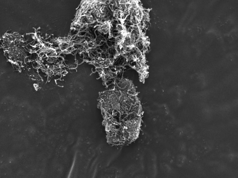 Fluorinated carbon nanotubes（FCNTs） – YuXing Poly (carbon monofluoride ...